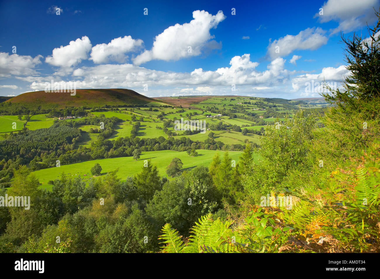 September colours Bilsdale North Yorkshire Moors England Easterside ...