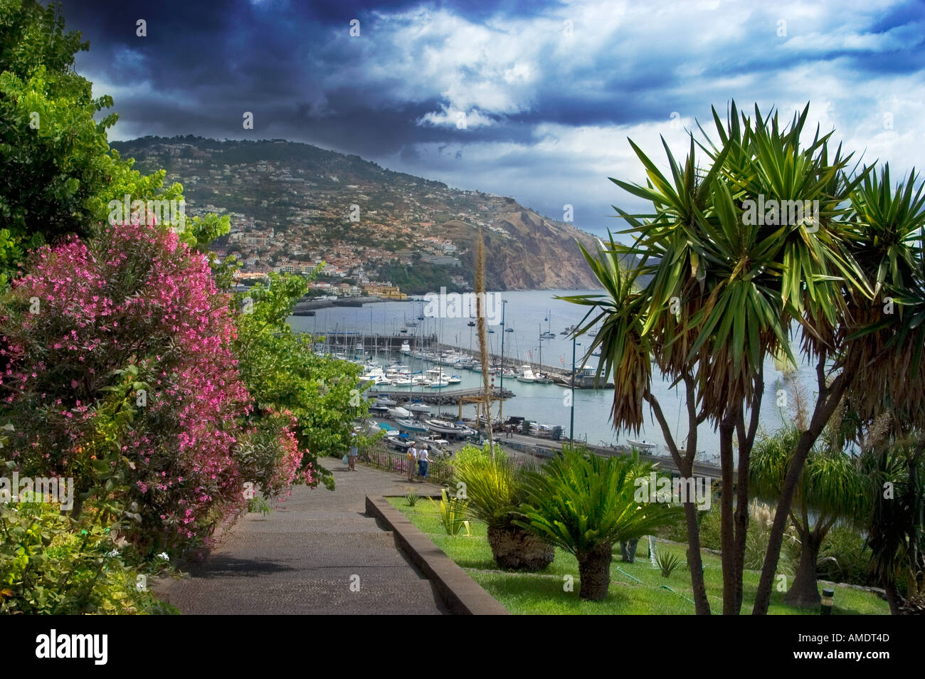 Funchal coast hi-res stock photography and images - Alamy