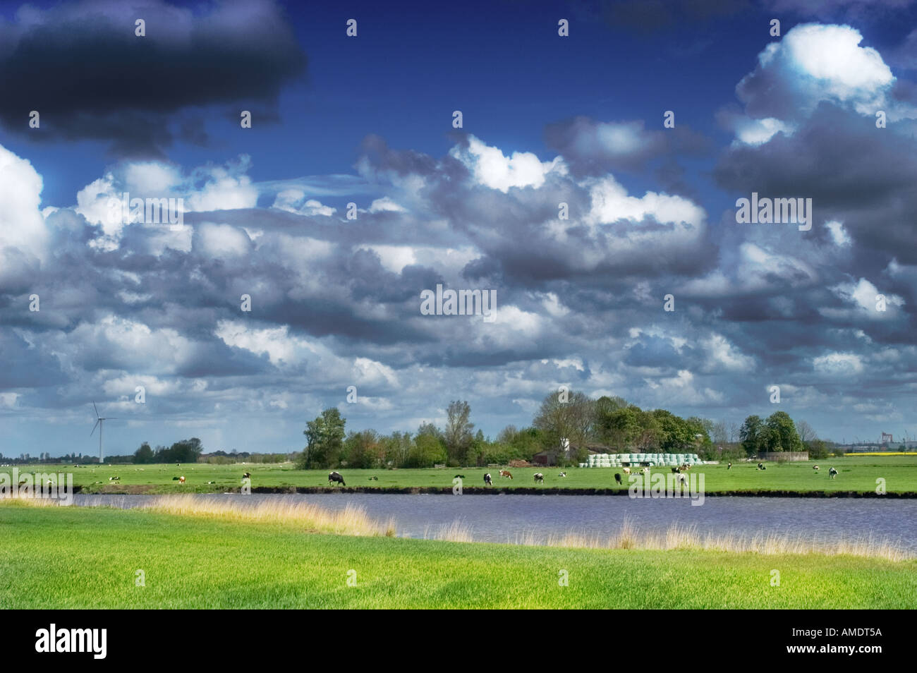 Typical friesian landscape Ostfriesland Niedersachsen Germany Stock ...