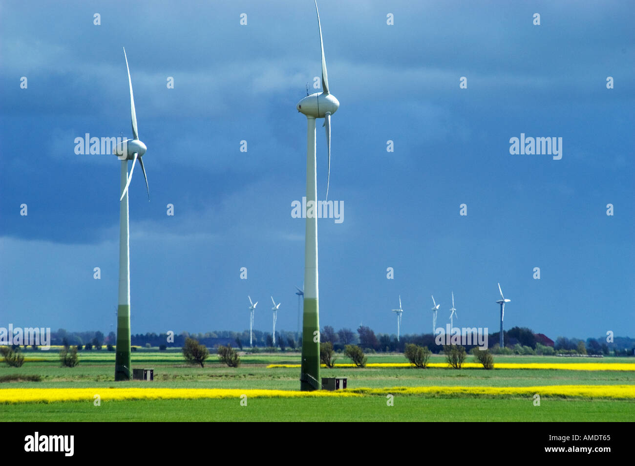 Typical friesian landscape Ostfriesland Niedersachsen Germany Stock ...