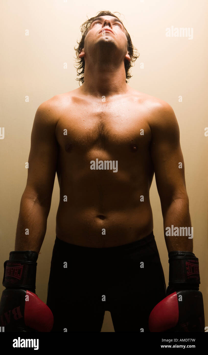 boxer looking up Stock Photo - Alamy