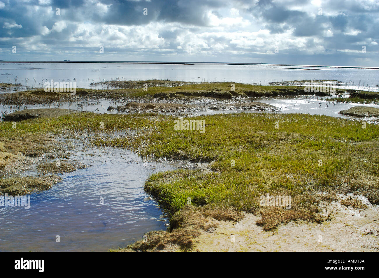 Waddensea nationalpark hi-res stock photography and images - Alamy