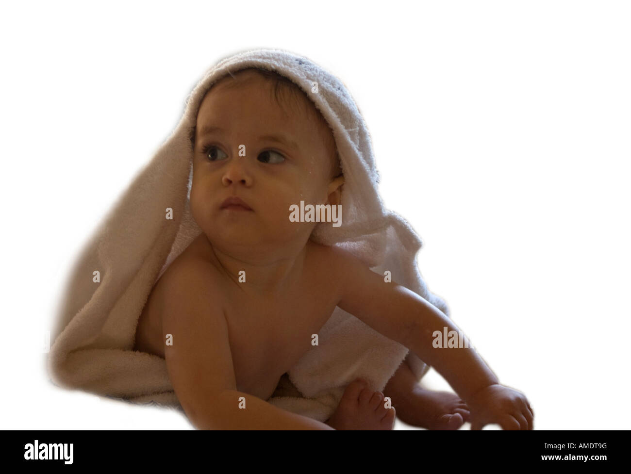 Drying off is hard work Stock Photo - Alamy