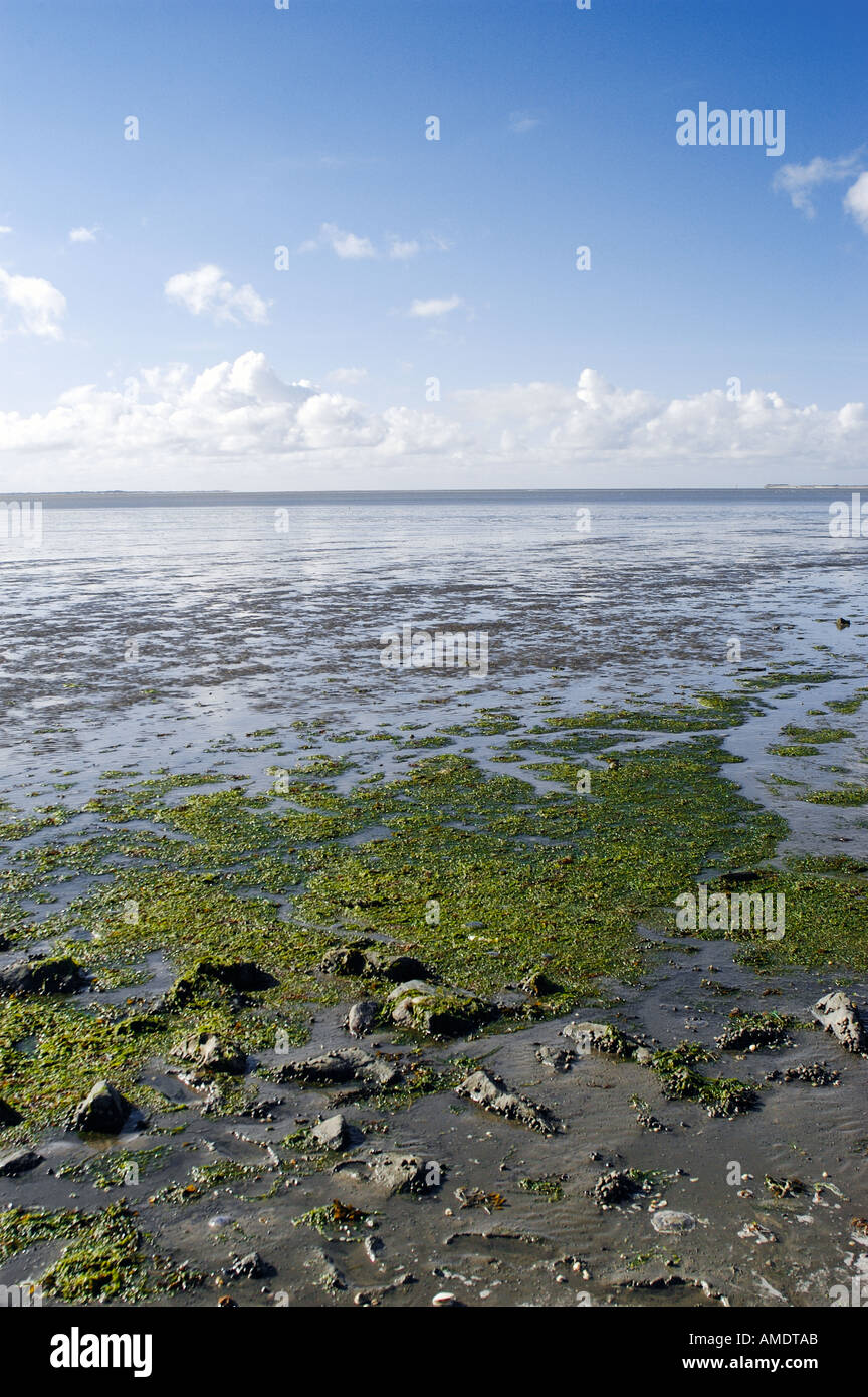 Waddensea nationalpark hi-res stock photography and images - Alamy