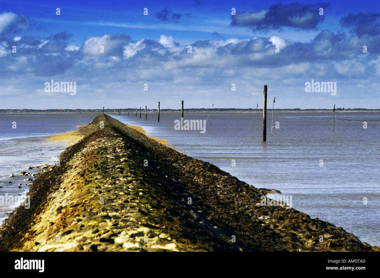 Waddensea nationalpark hi-res stock photography and images - Alamy