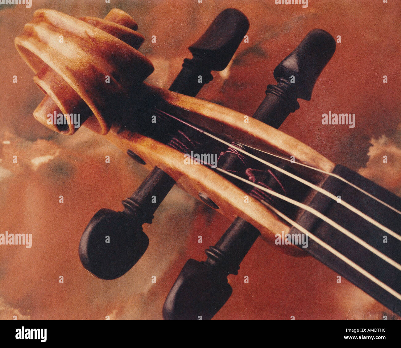 Close-Up of Violin Stock Photo - Alamy