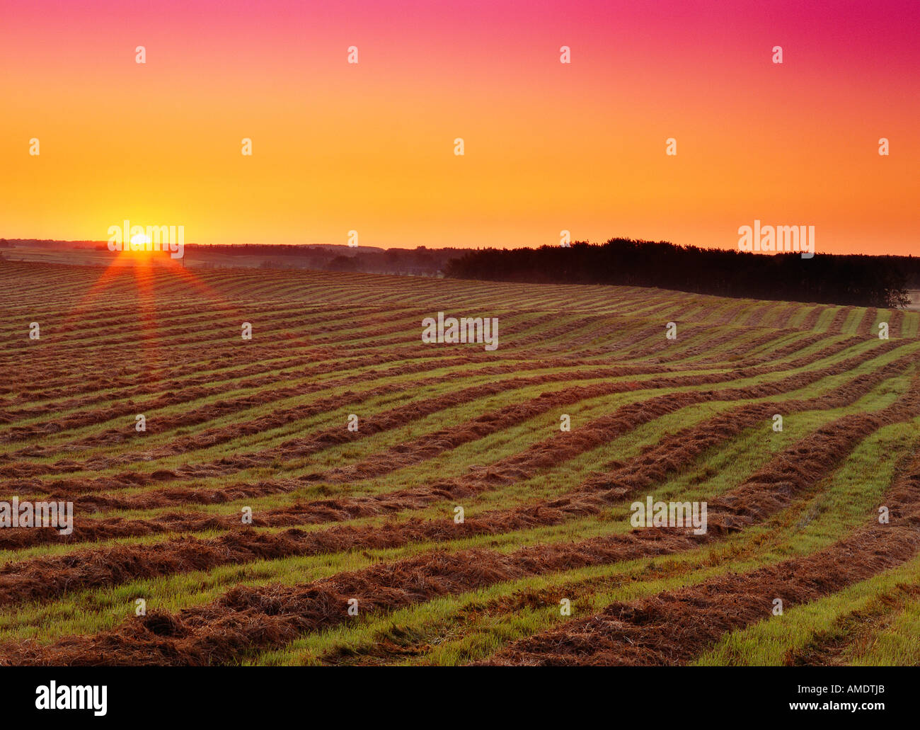 Edmonton Sky Line High Resolution Stock Photography and Images - Alamy