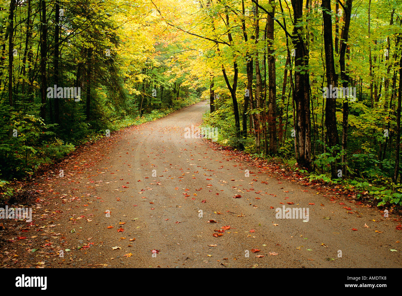 Fall scenic highway ontario, canada hi-res stock photography and images ...