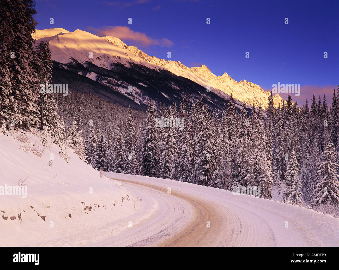 Queen Elizabeth Range and Maligne Lake Road Jasper National Park ...