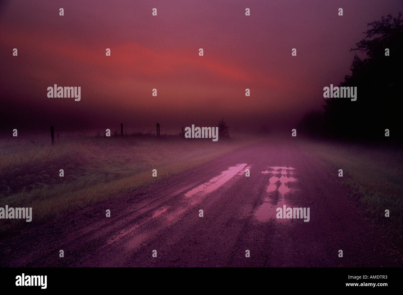 Country Road at Dawn Alberta, Canada Stock Photo - Alamy