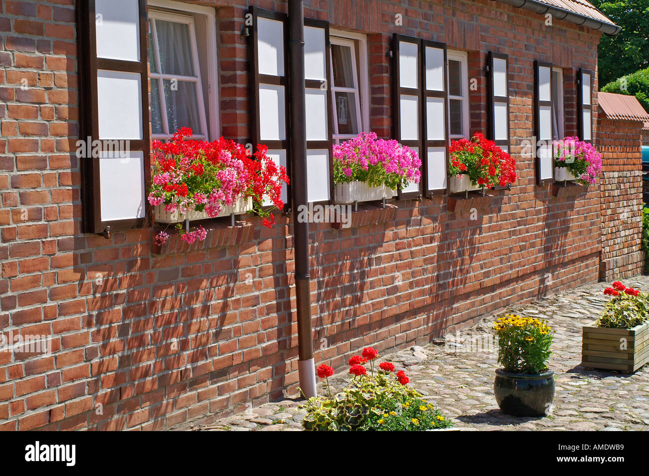 windows with flowers Stock Photo - Alamy