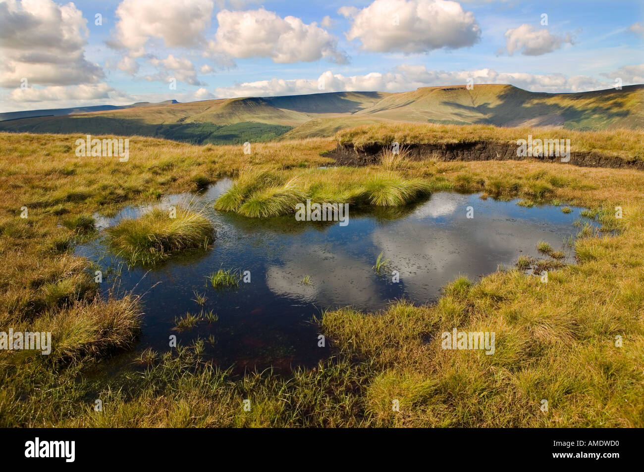 Pool of water in peat beds on moorland on Pant y Creigiau Brecon ...