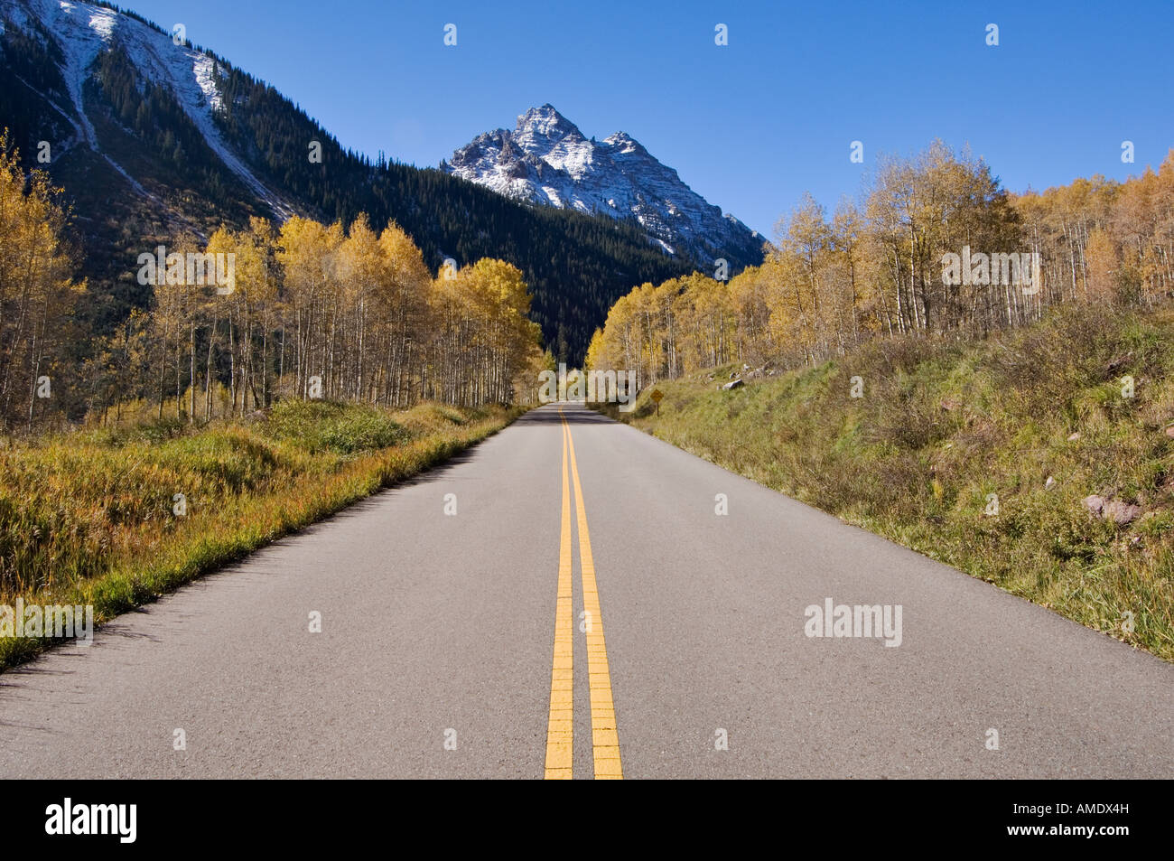 Aspen Lined Road Leading to Snow Covered Pyramid Peak Pitkin County ...