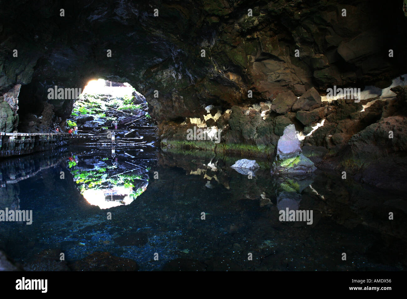 Blind white crabs Munisopsis Polimorpha glow like stars under the water ...
