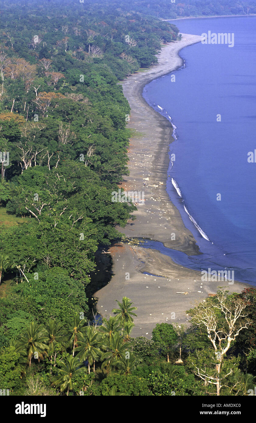 Beach and lowland forest Vatthe Conservation Area Espiritu Santo ...
