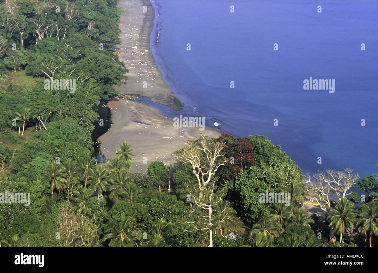 Empty beach and lowland forest Vatthe Conservation Area Espiritu Santo ...