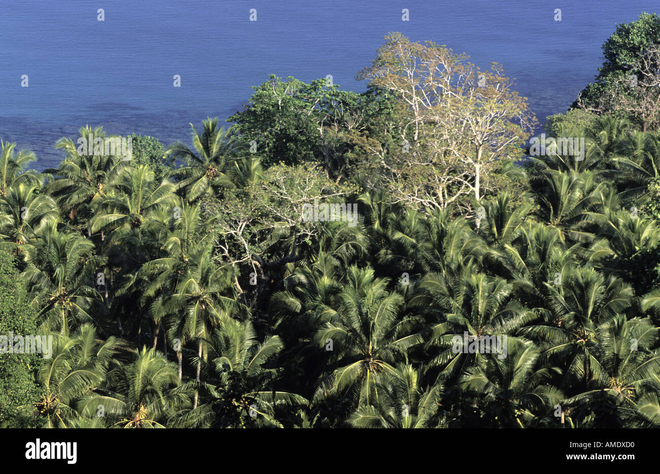 Vatthe hi-res stock photography and images - Alamy