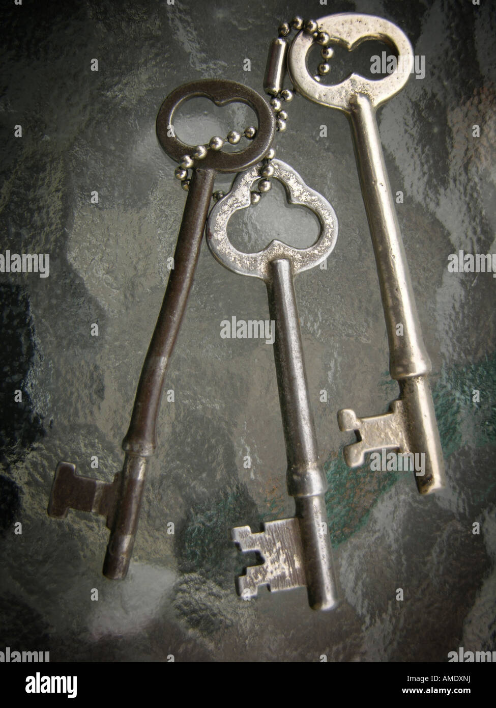 Three skeleton hi-res stock photography and images - Alamy