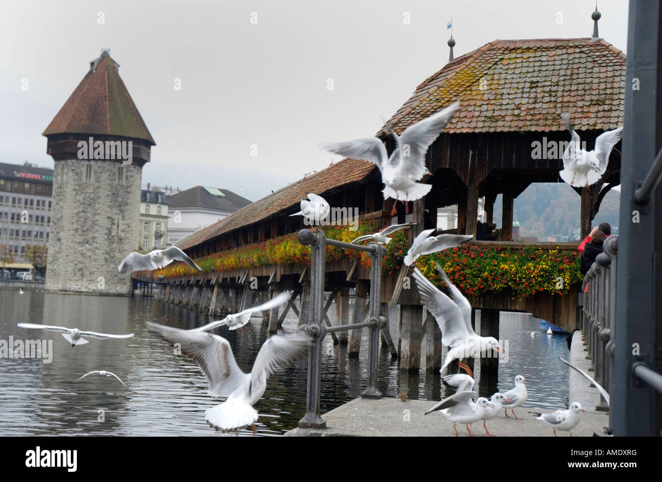Kapellbrucke o Chapel s bridge LUCERNE Switzerland Stock Photo - Alamy