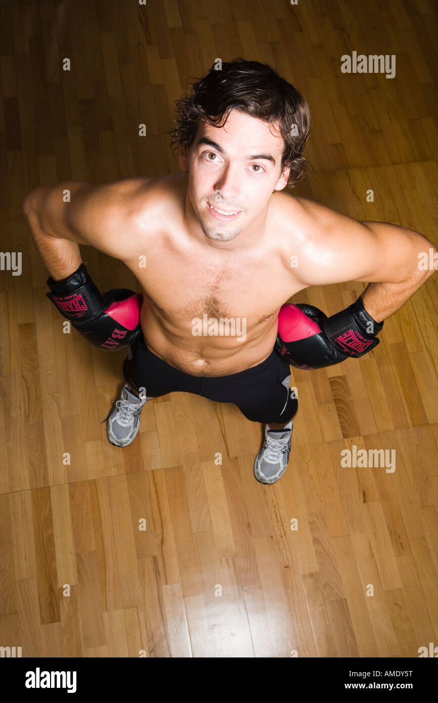 boxer looking at camera Stock Photo - Alamy