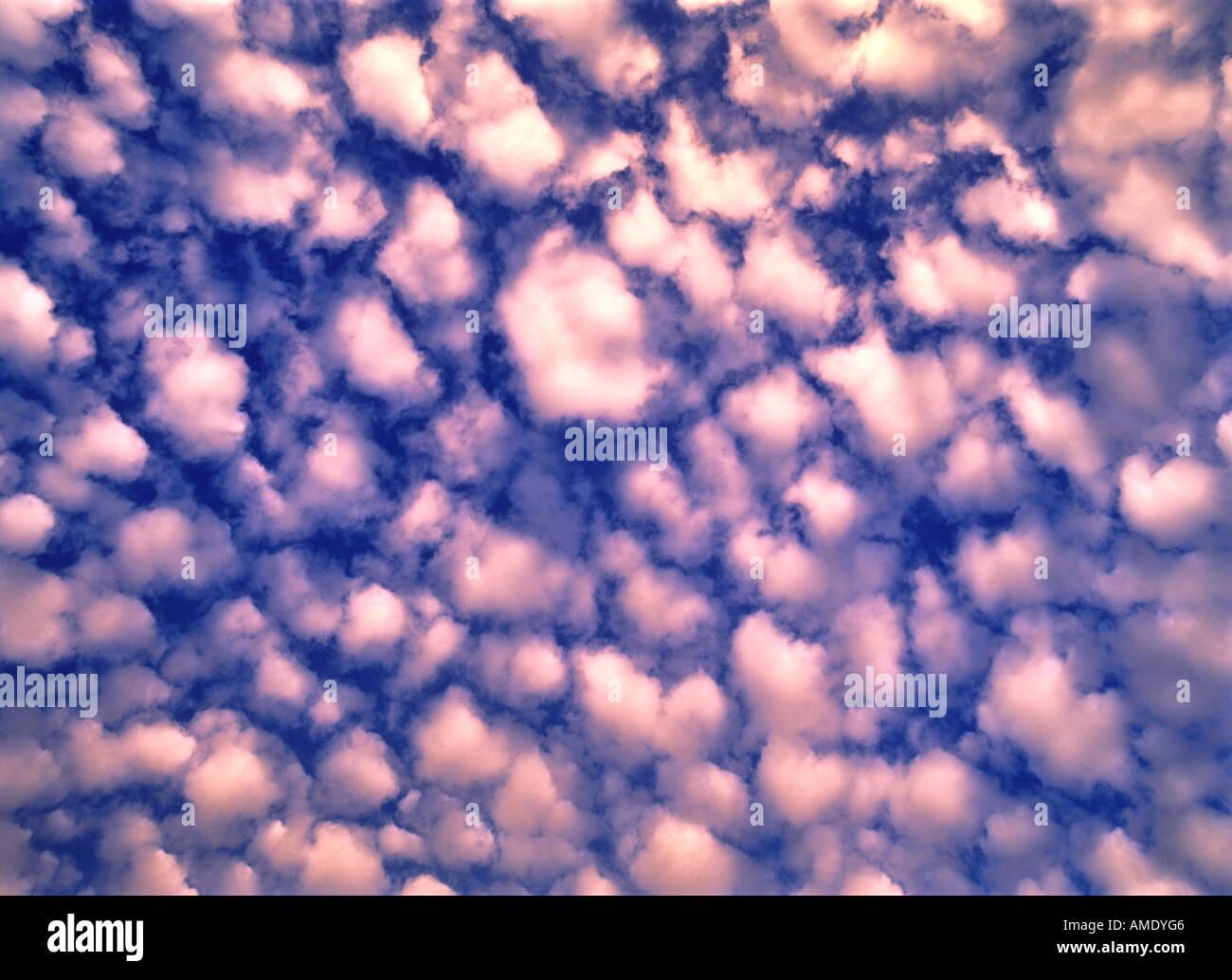 Autocumulus hi-res stock photography and images - Alamy