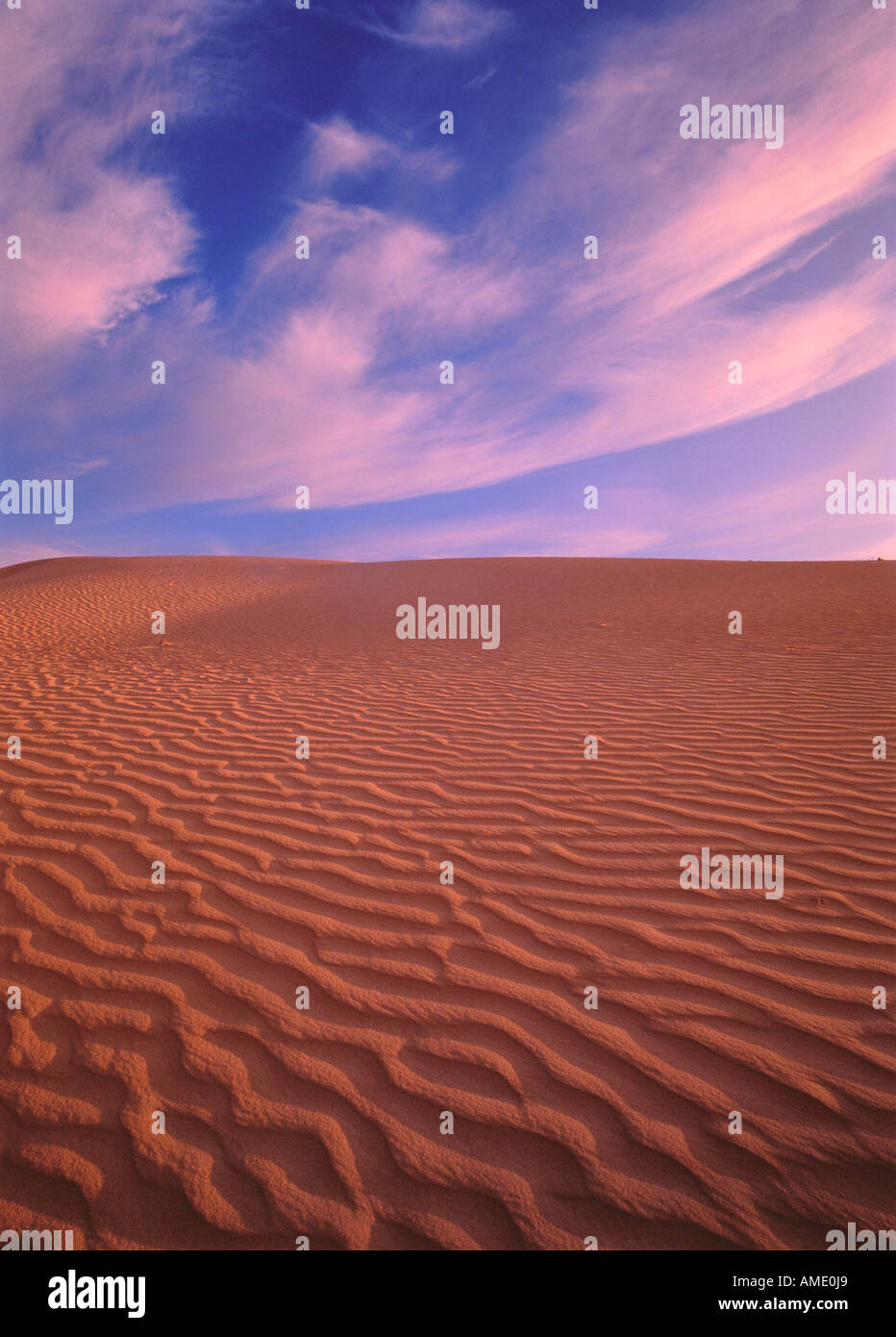 Saskatchewan canada sand dunes hi-res stock photography and images - Alamy