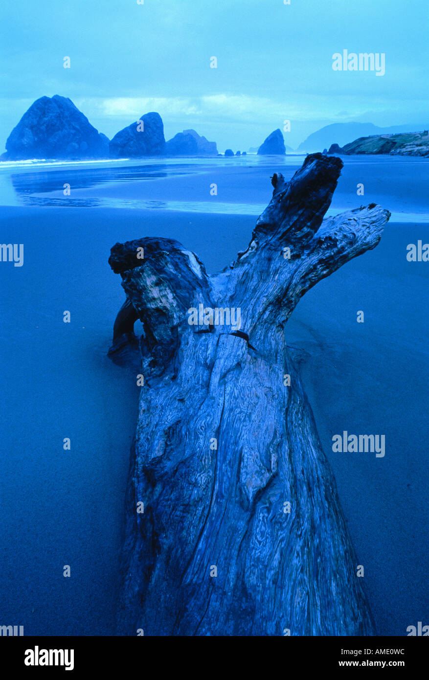 Driftwood on Beach Pistol River State Park Oregon, USA Stock Photo - Alamy