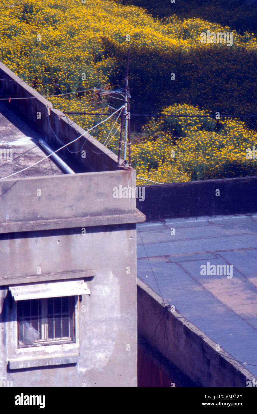 spring time beirut lebanon Stock Photo - Alamy