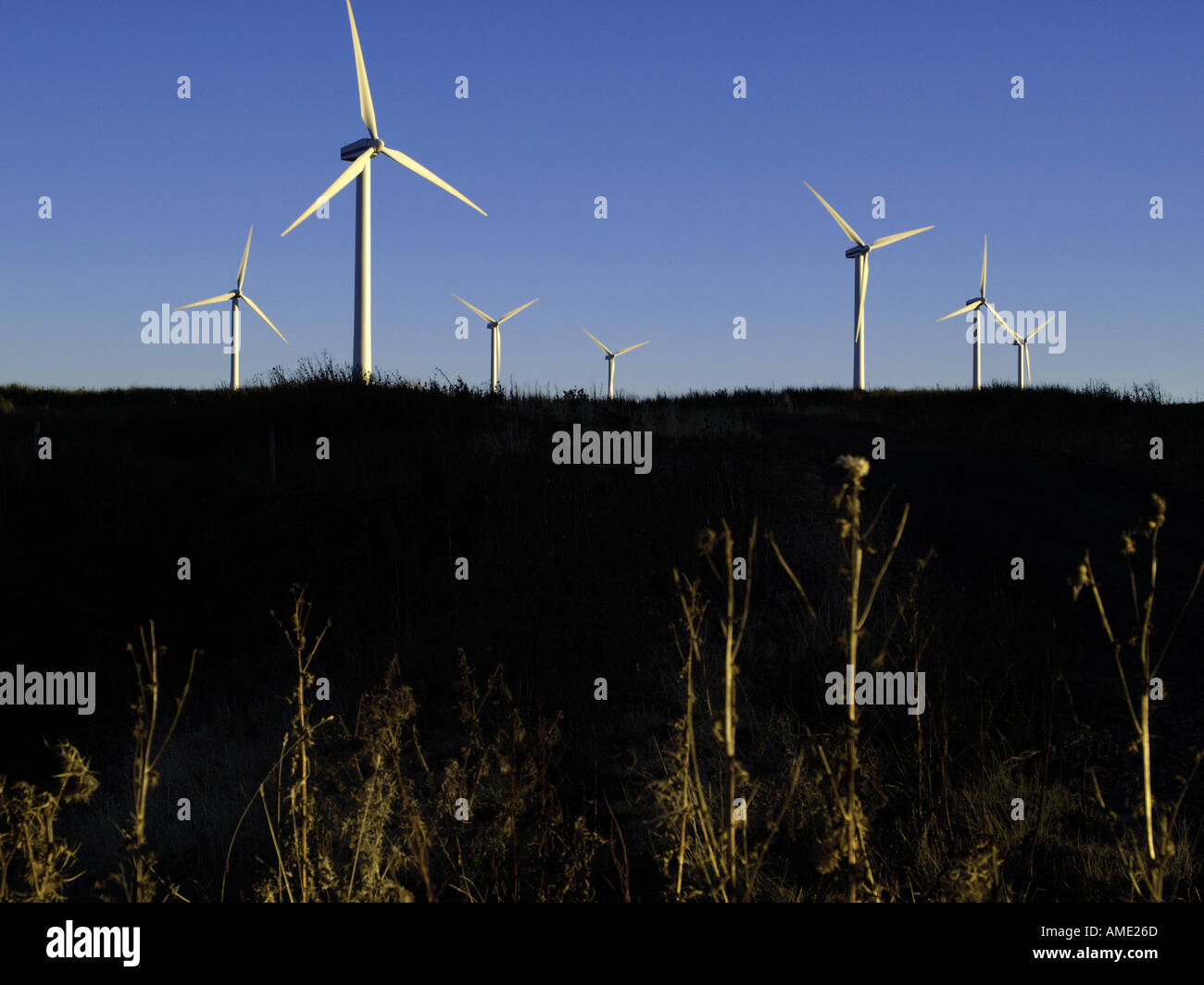 Wind turbines on a wind farm power plant Stock Photo - Alamy