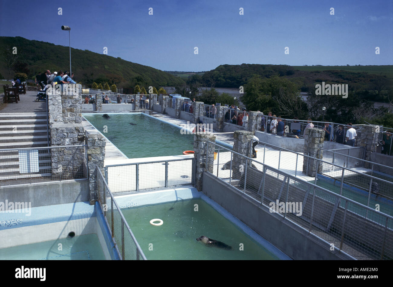Seals swim in separated caged pools as visitors watch on at the Cornish ...