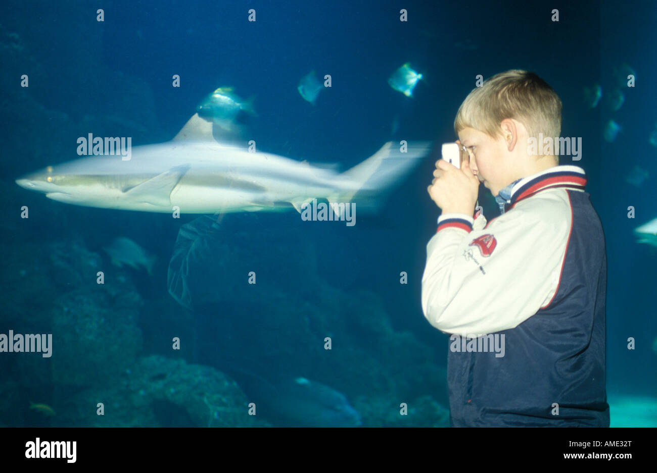 Shark boy hi-res stock photography and images - Alamy