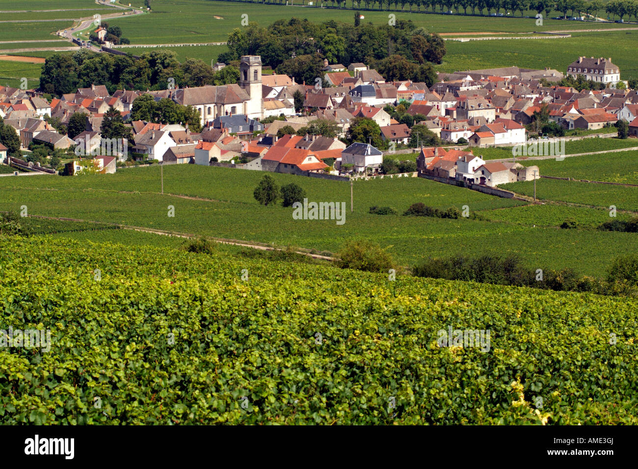 Wine Town of Pommard and its Vineyards in Cote de Beaune Wine Region ...