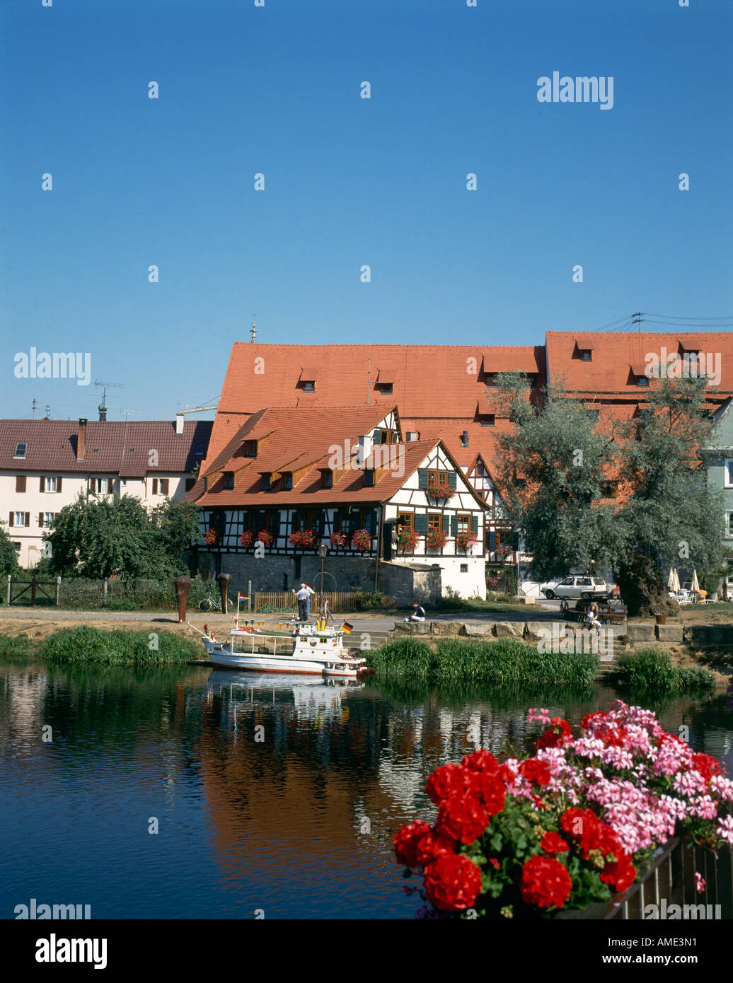 Looking past flowers towards a small boat on the banks of the Tauber ...