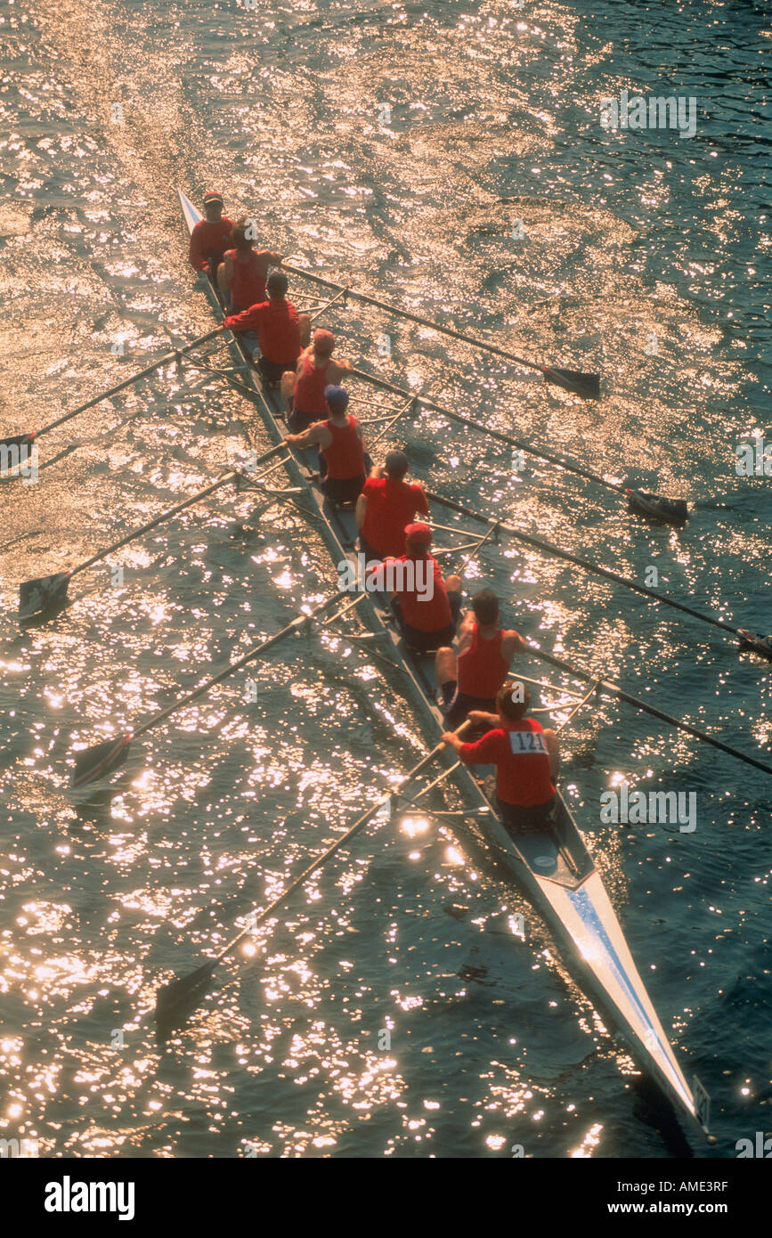 Overhead View of Men Rowing Trent Canal, Ontario, Canada Stock Photo ...
