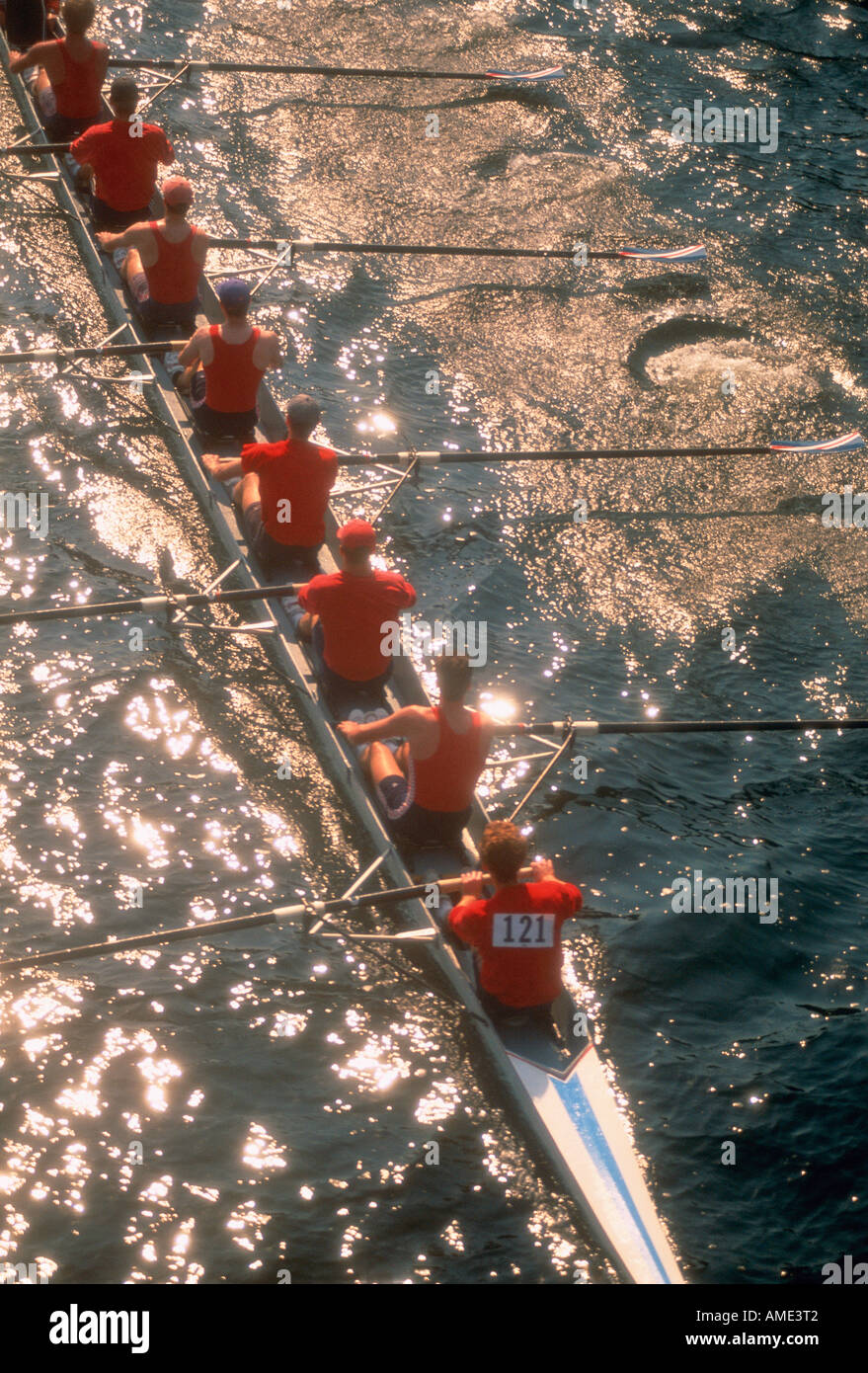 Overhead View of Men Rowing Trent Canal, Ontario, Canada Stock Photo ...