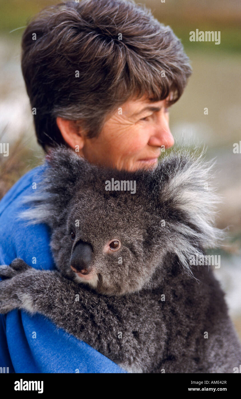 Woman australia koala hi-res stock photography and images - Alamy
