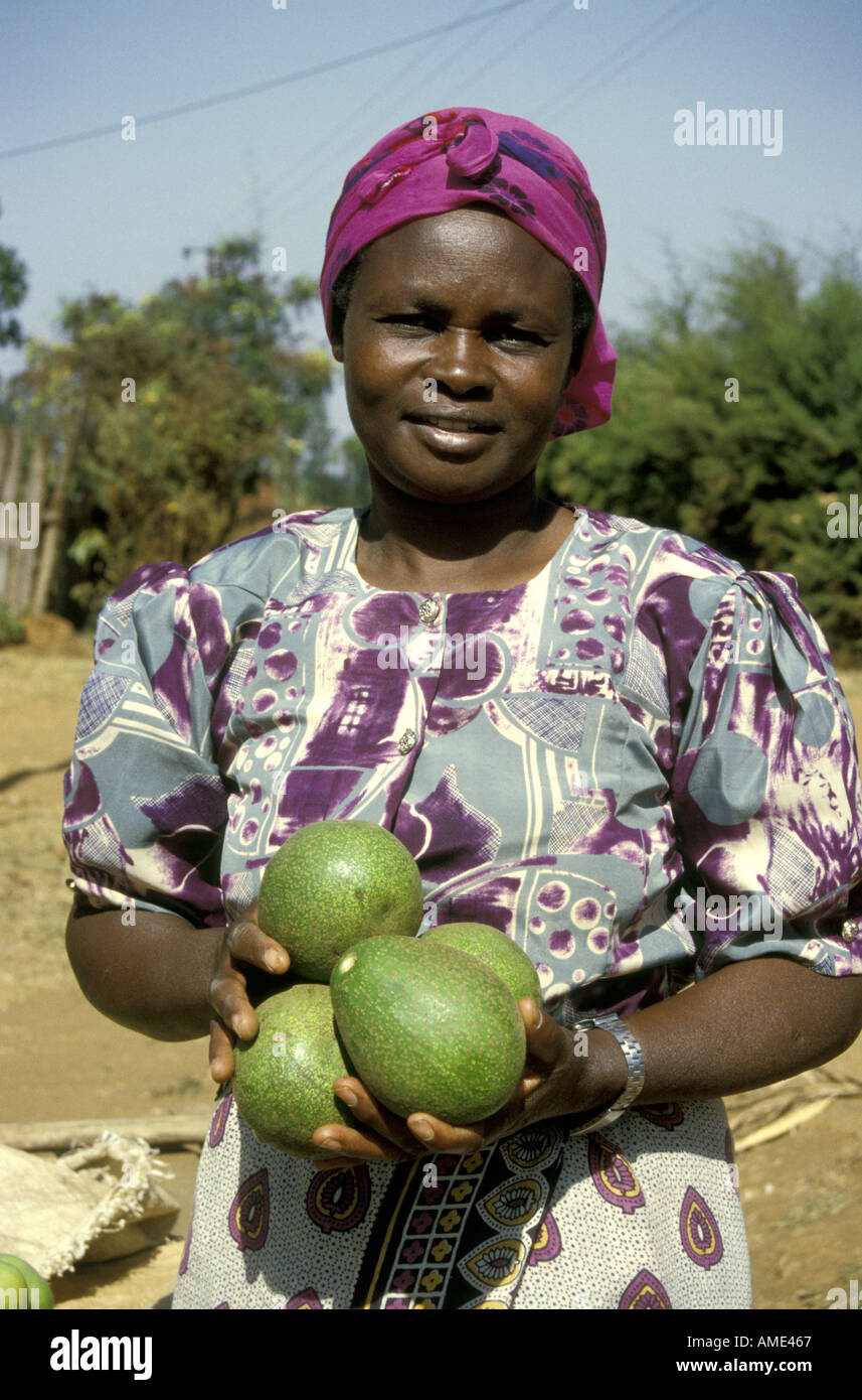 Meru woman selling avocados at a roadside stall Mwea Meru District ...