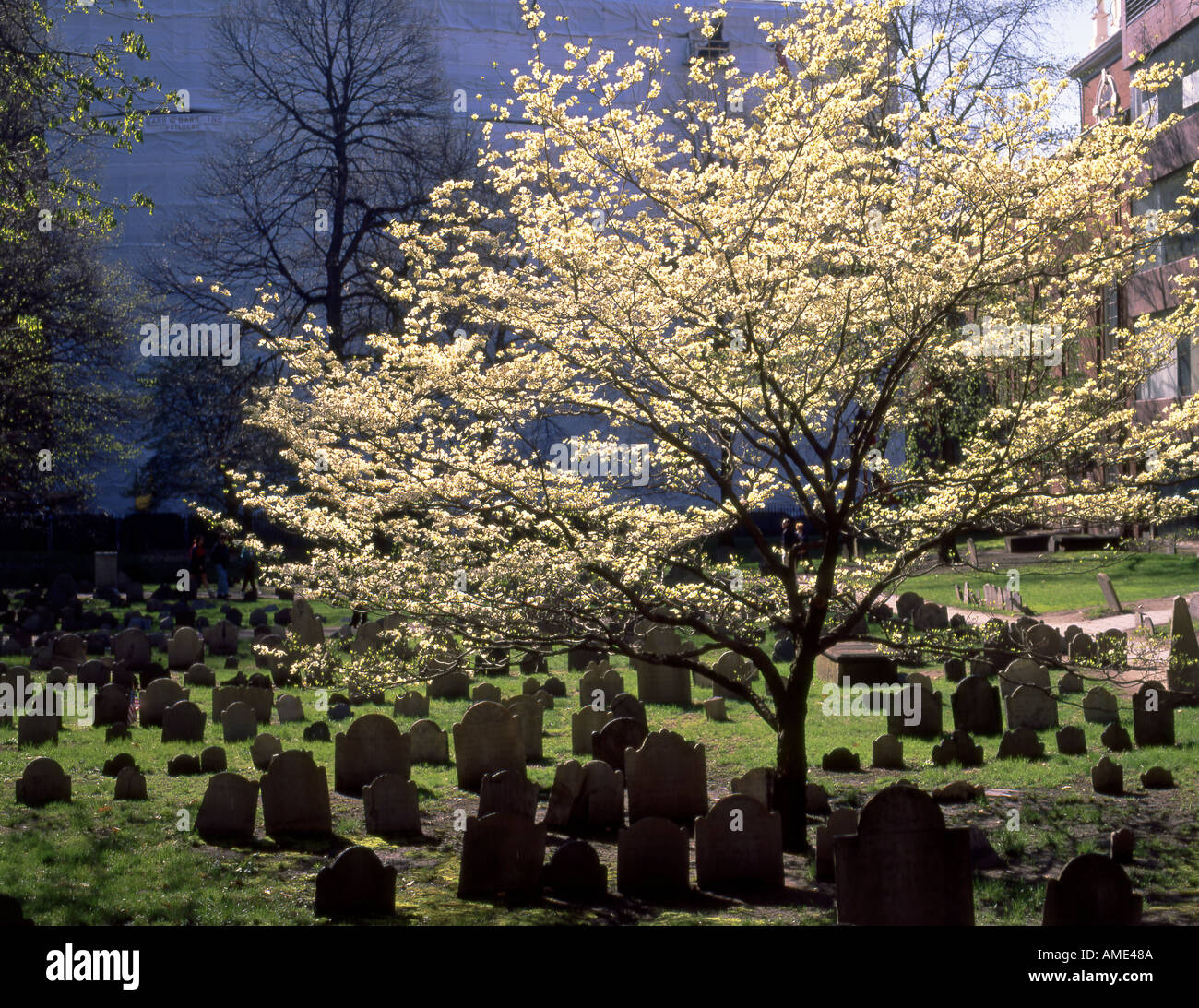 Old granary burial ground hi-res stock photography and images - Alamy