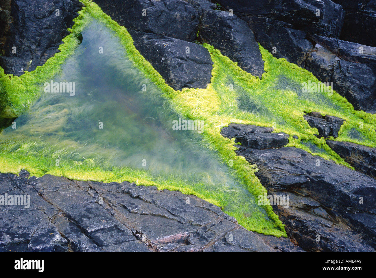 Tidal pools outer hebrides hi-res stock photography and images - Alamy