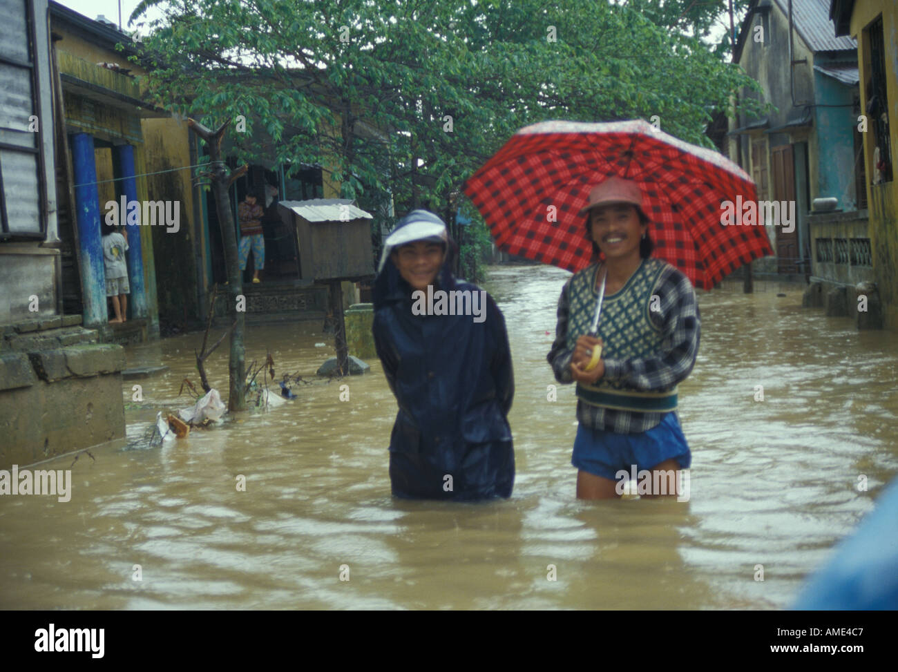Monsoon umbrella trees hi-res stock photography and images - Alamy