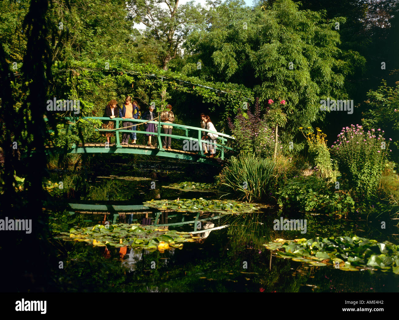 Sightseers surrounded by lush vegetation and standing on one of the ...