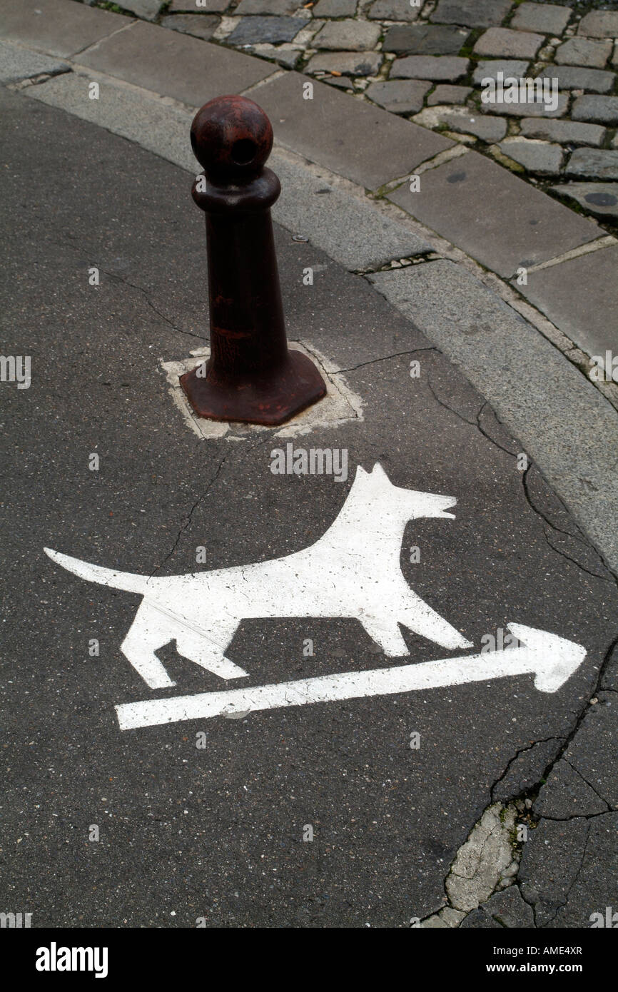 French Dog Crossing Place Painted Sign on the Pavement seen in Reims ...