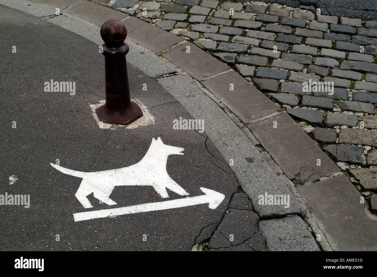 French Dog Crossing Place Painted Sign on the Pavement seen in Reims ...
