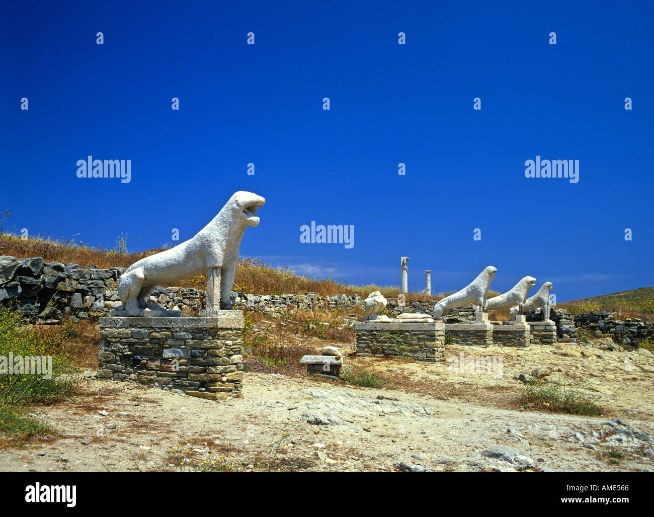 The Lion statues in the island of Delos sister island of Mykonos Greece ...