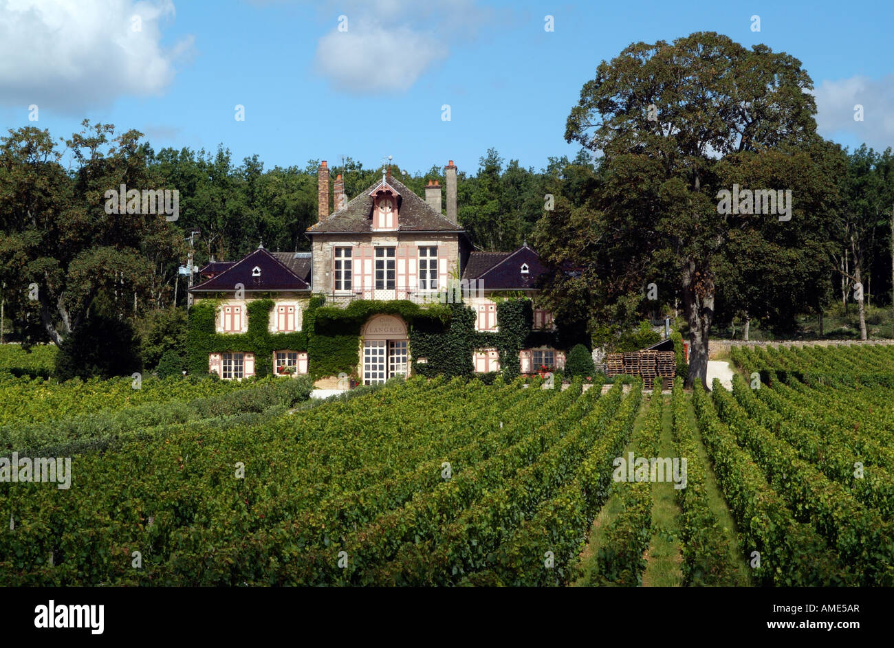 Domaine D Ardhuy Winery and the Monopole Vineyard Clos de Langres in ...