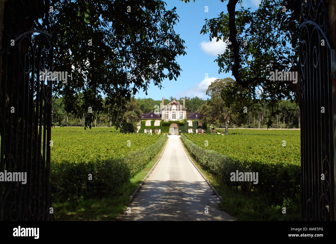 Domaine D Ardhuy Winery and the Monopole Vineyard Clos de Langres in ...