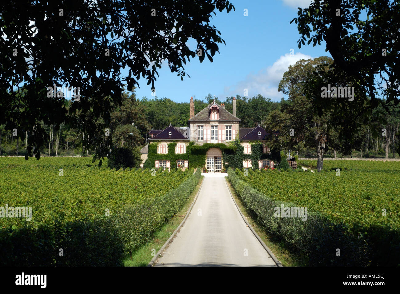 Domaine D Ardhuy Winery and the Monopole Vineyard Clos de Langres in ...