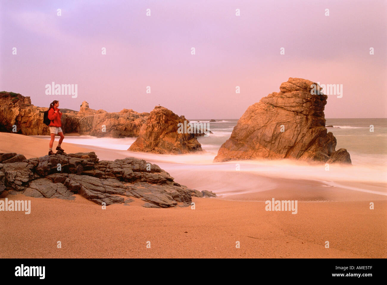 Lady tramp recreation hi-res stock photography and images - Alamy