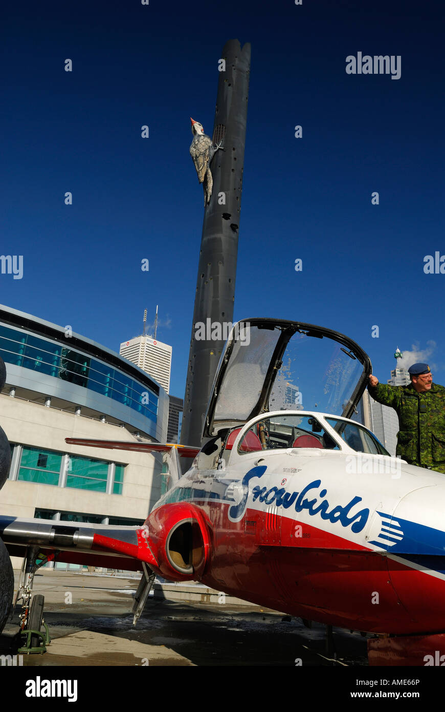 Snowbird tutor jet hi-res stock photography and images - Alamy