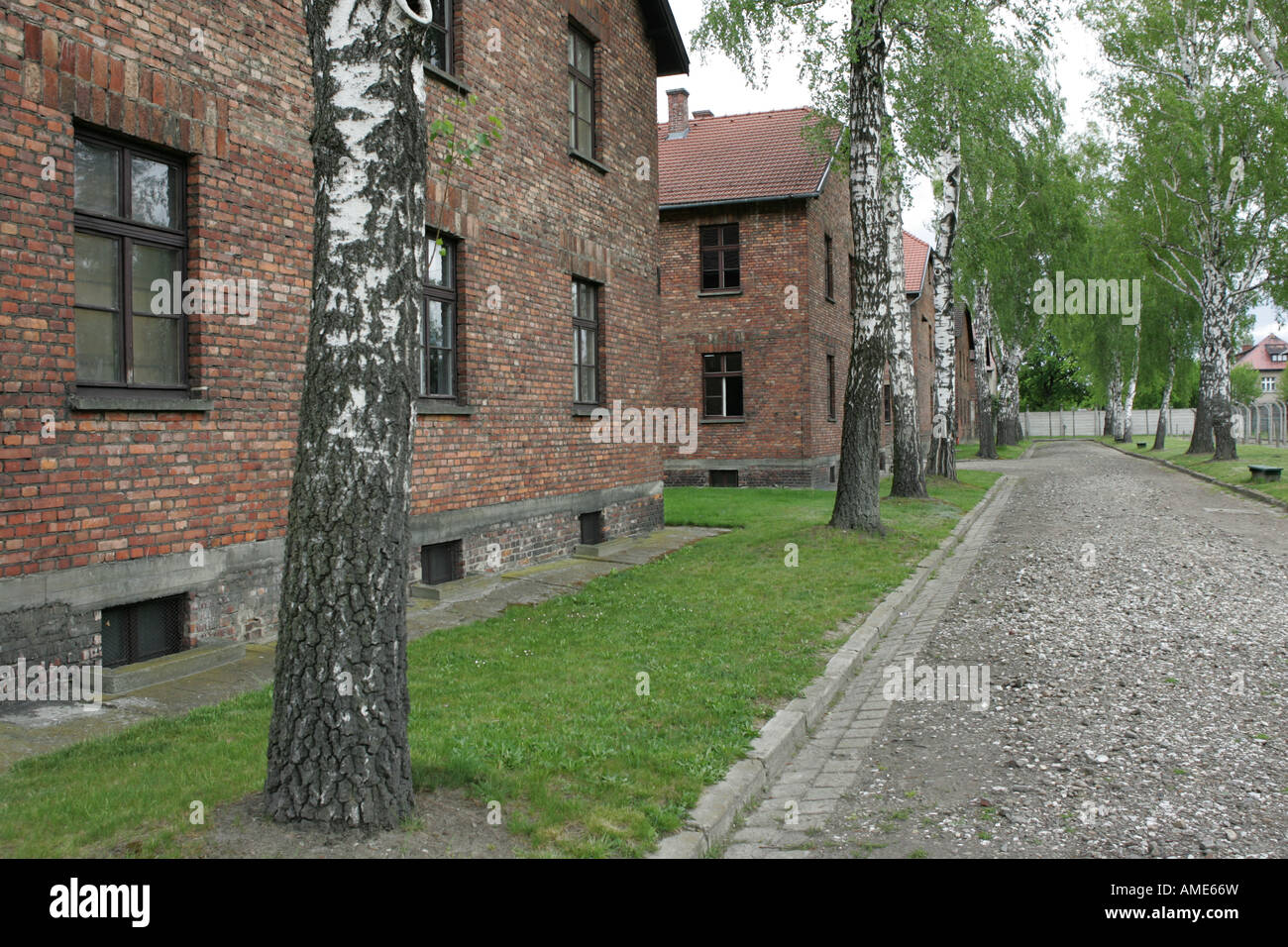 Cell blocks at Auschwitz Concentration Camp Poland Stock Photo - Alamy